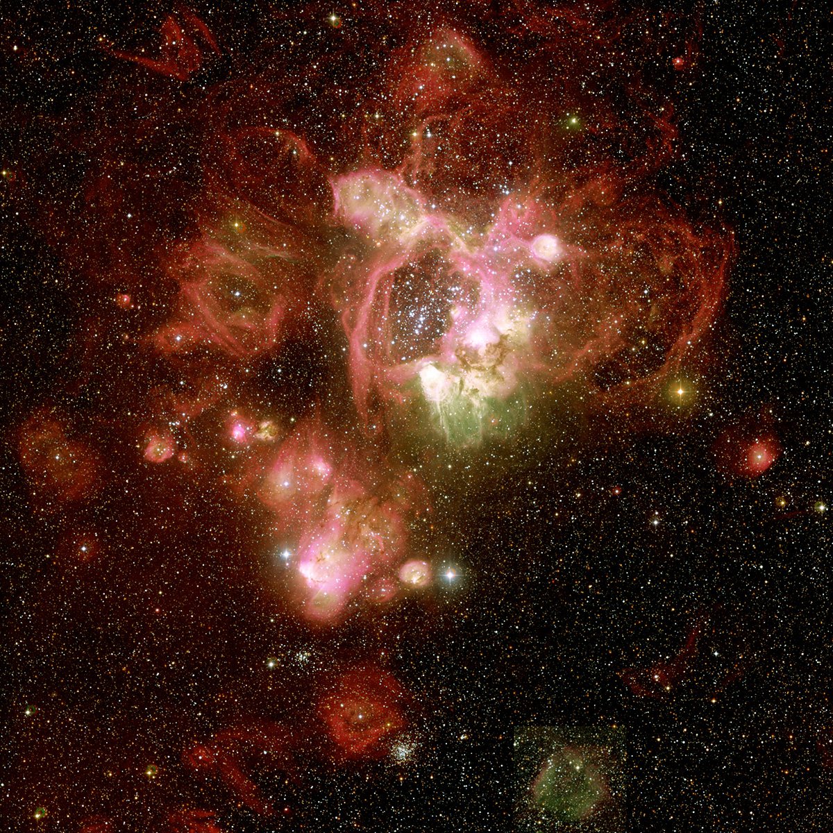 The Southern Rose Photo | Sky Image Lab